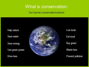 Ecology Issues – We Conserve - Environmental Blog
